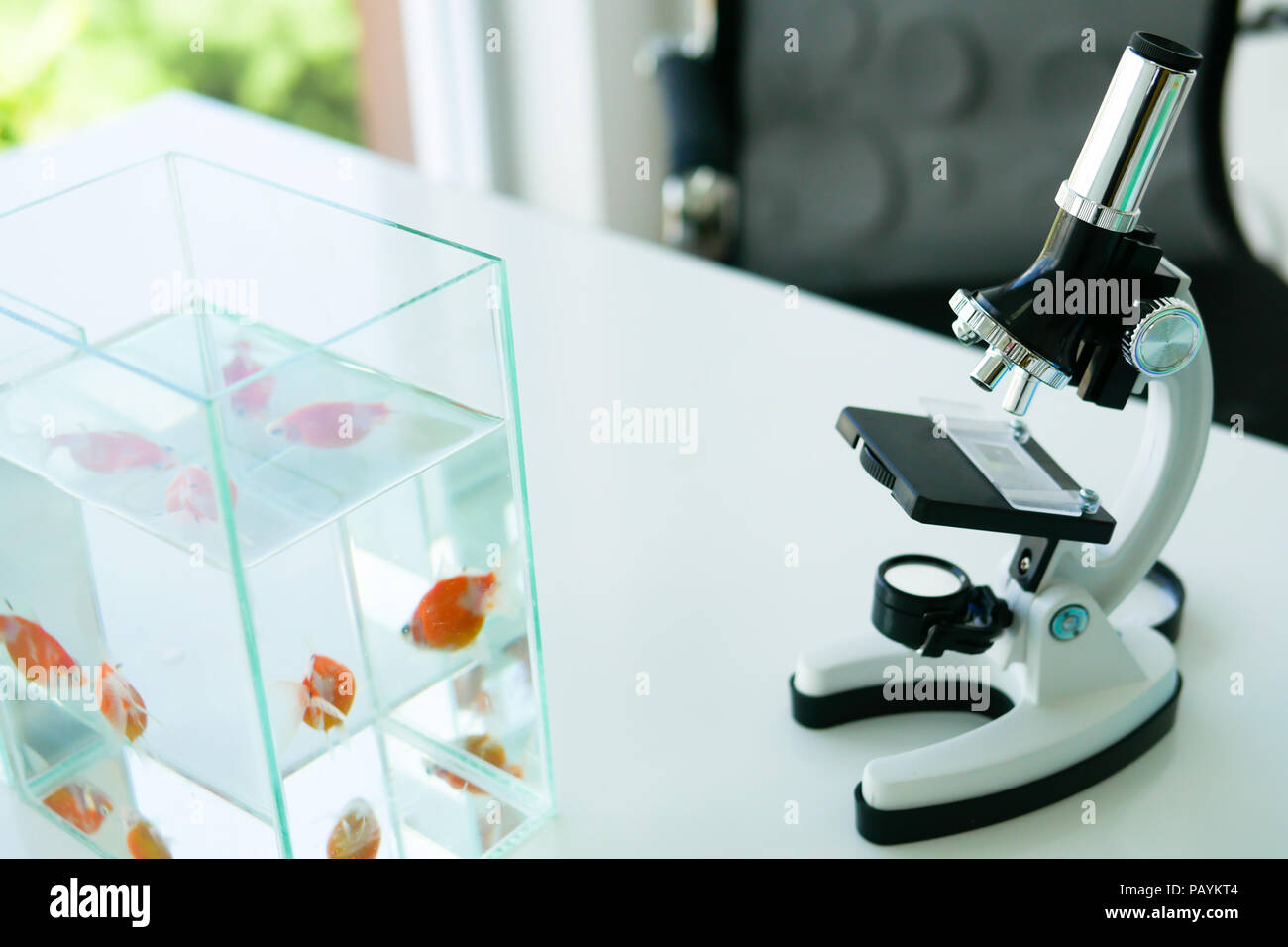 Microscope fish Banque de photographies et d’images à haute résolution ...