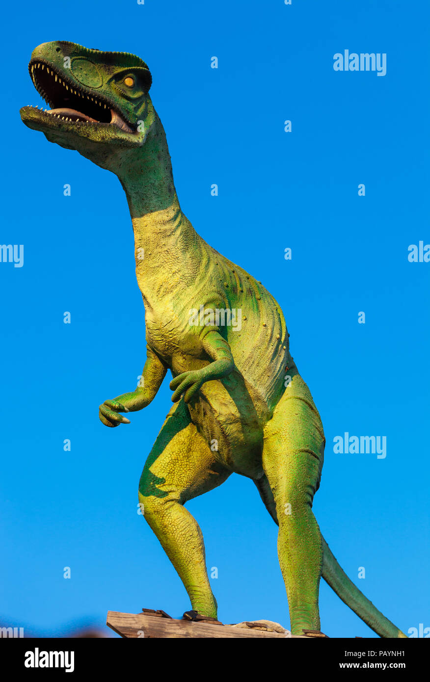 Dino dinosaur velociraptor carnivore Banque de photographies et d’images à haute résolution - Alamy