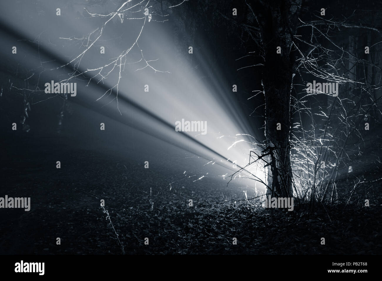 Rayon urbain Banque de photographies et d’images à haute résolution - Alamy