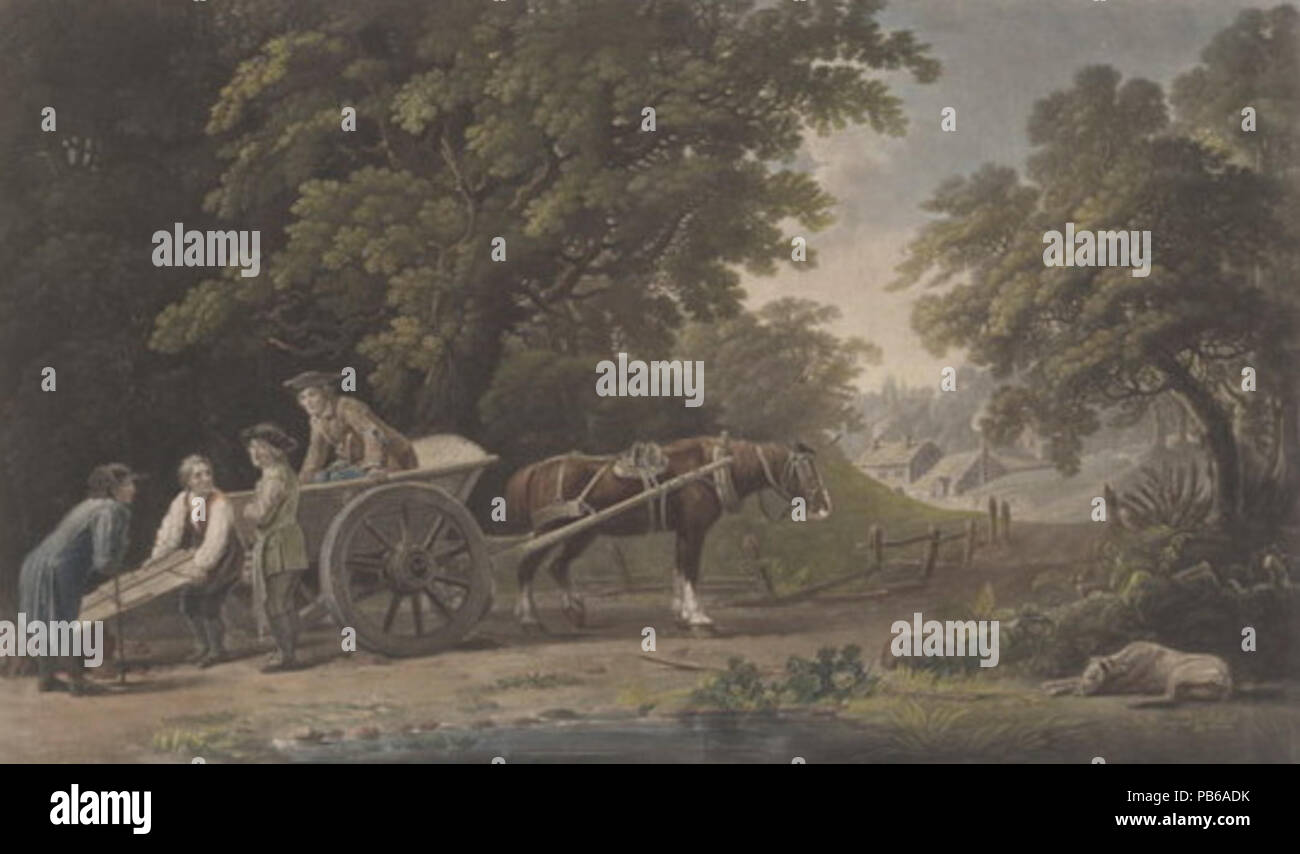 Birche henry Banque de photographies et d’images à haute résolution - Alamy