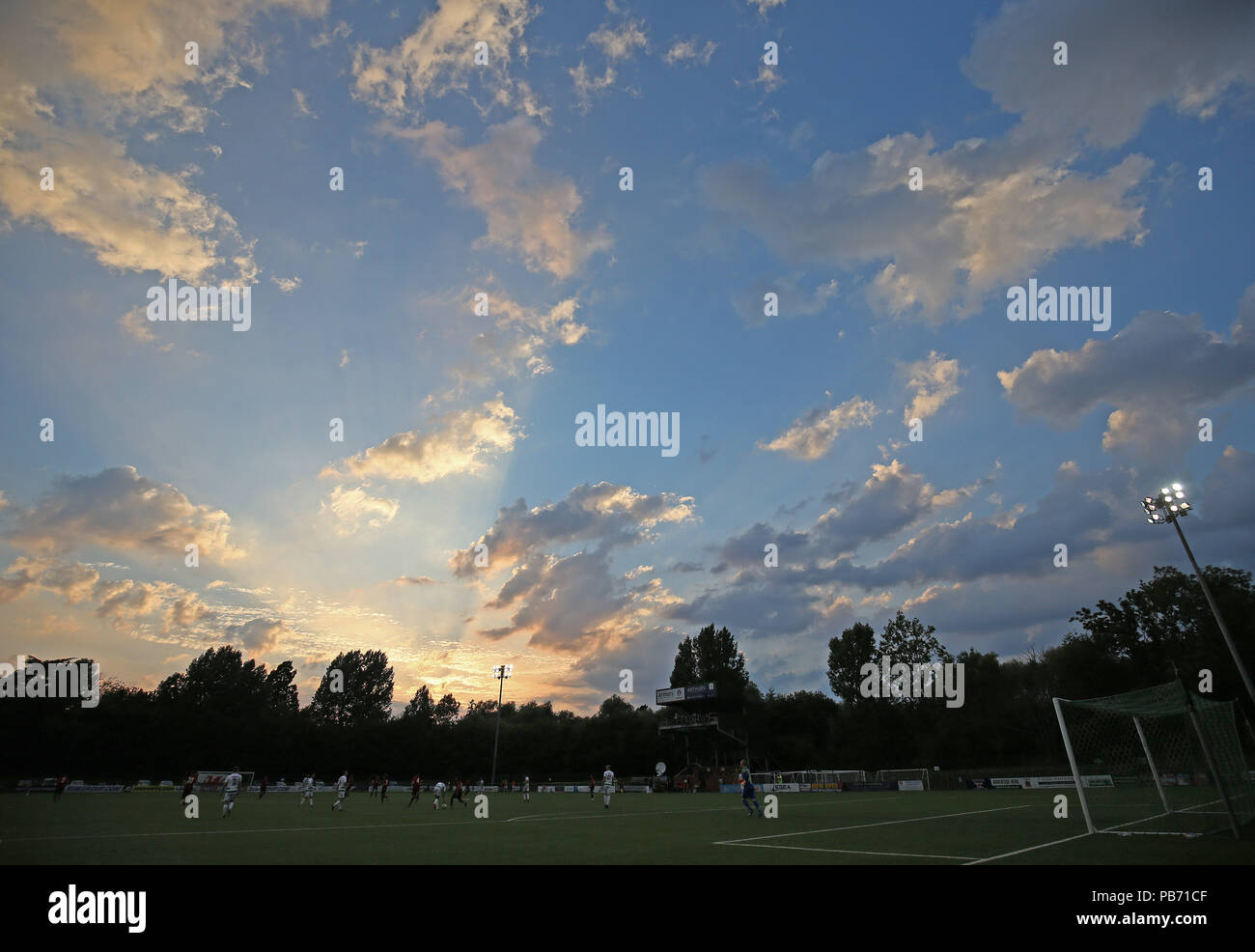Les diablotins rouges de lincoln jouent sous le soleil tardif Banque de ...