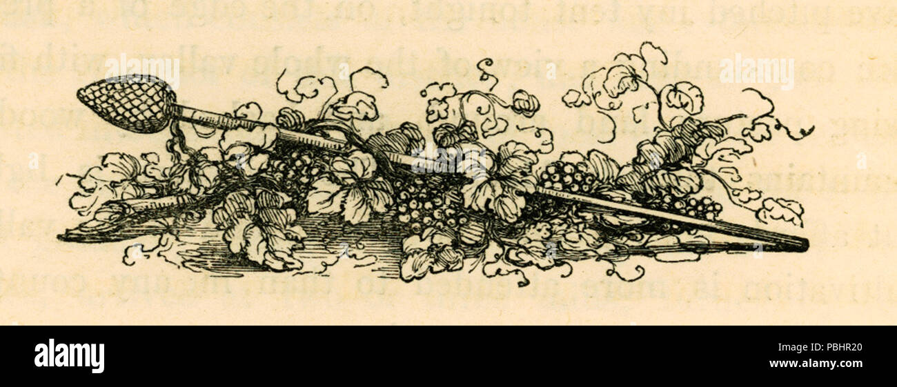 Dionysus avec thyrse Banque de photographies et d’images à haute ...