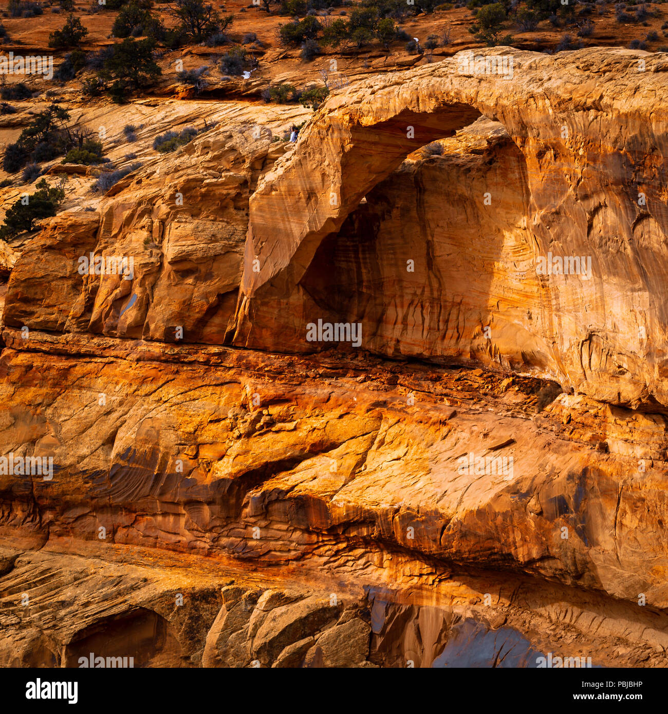 Parc national des terres de canyon Banque de photographies et d’images ...