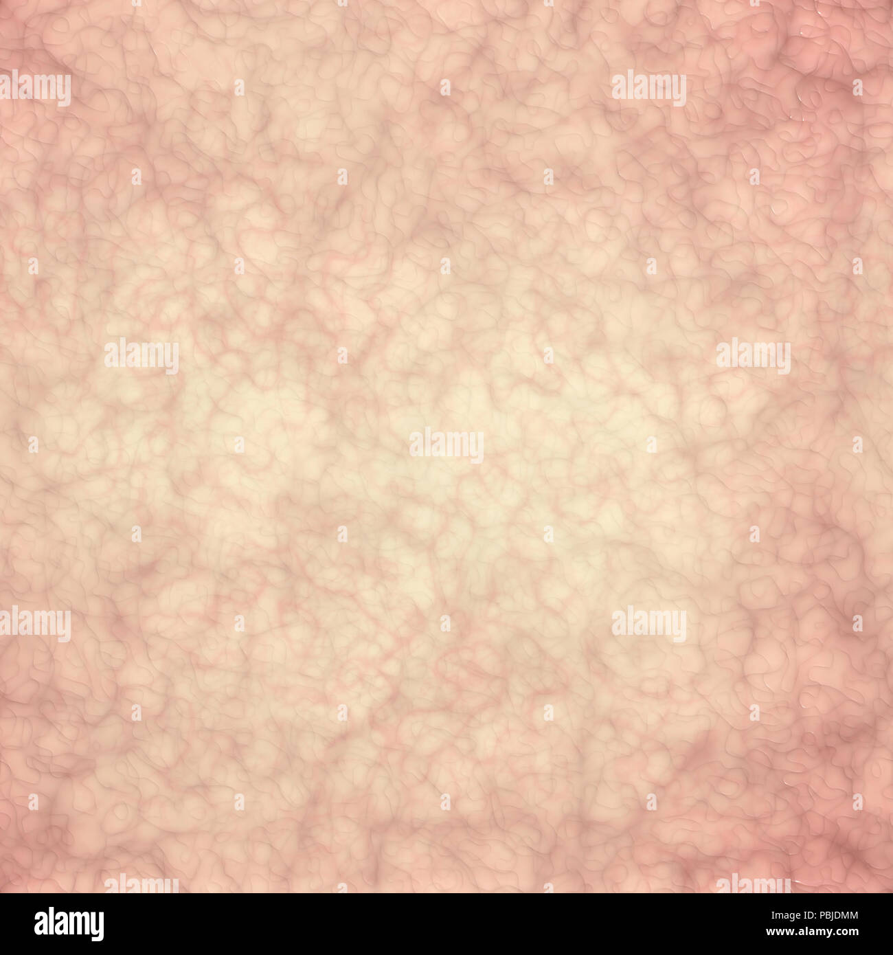 La Section de la peau, la texture de la peau d'un corps humain, l ...