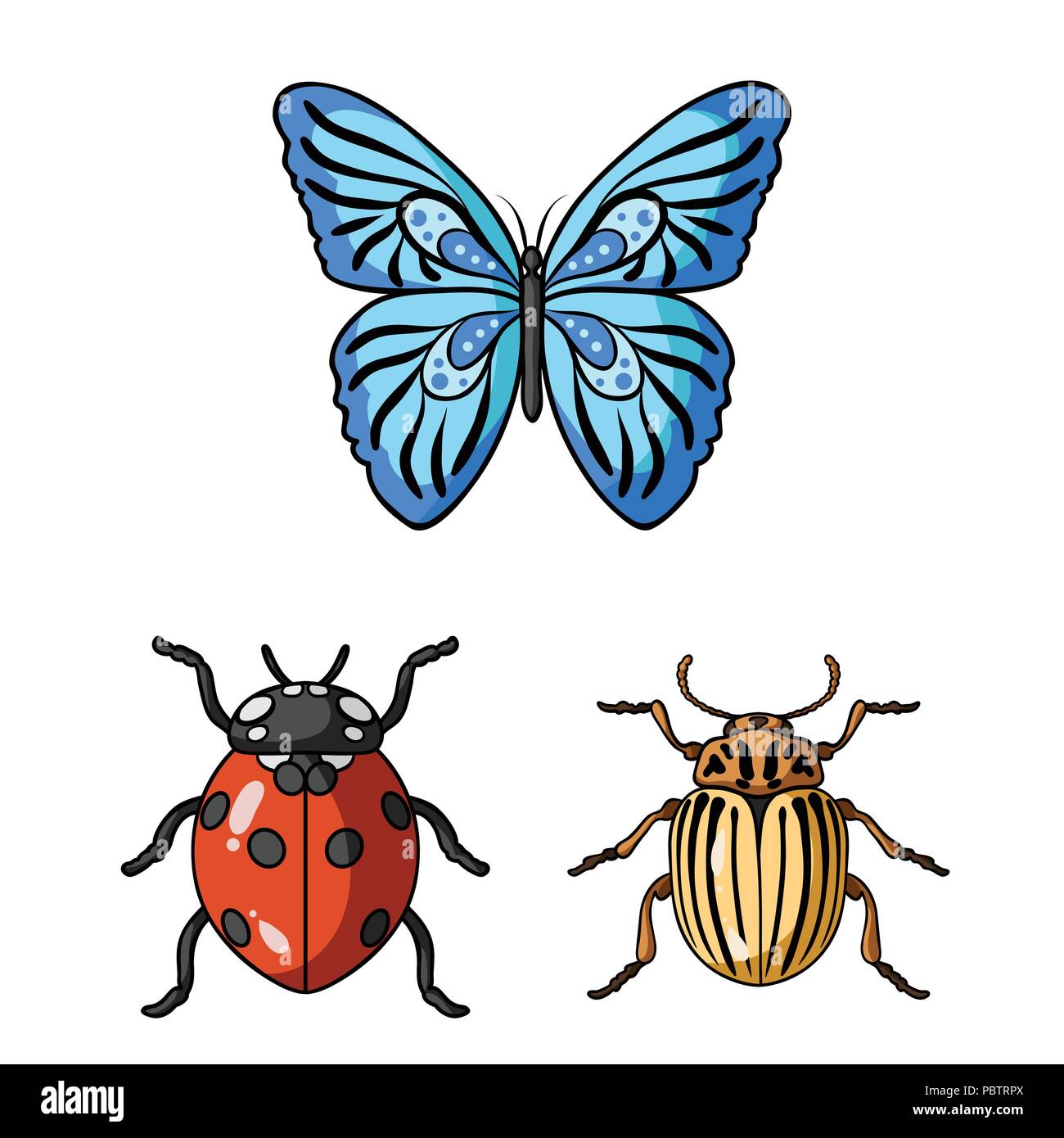Différents types d'insectes cartoon icônes de collection set pour la ...