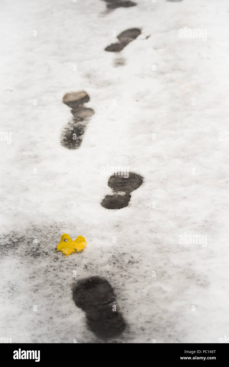 Snowfall autumn Banque de photographies et d’images à haute résolution ...