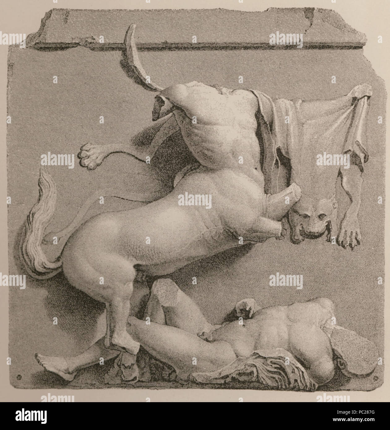 Metope parthenon Banque de photographies et d’images à haute résolution ...