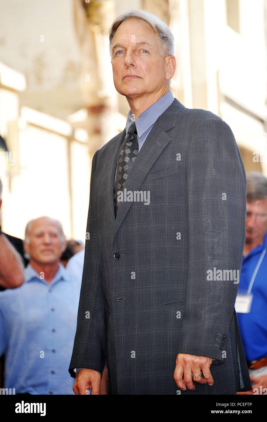 Mark Harmon ( NCIS ) honoré avec une étoile sur le Hollywood Walk of ...