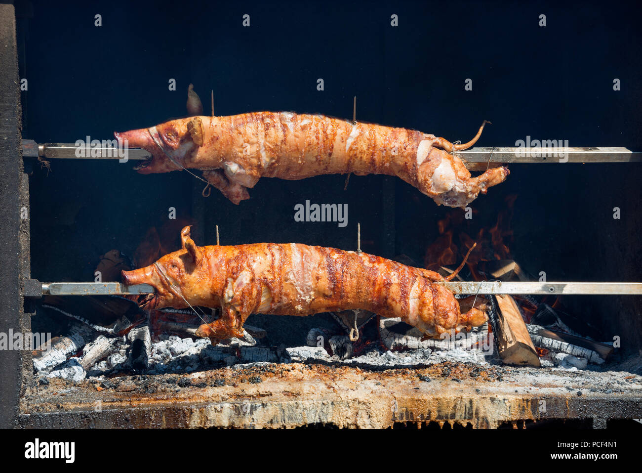 Cochon de lait Banque de photographies et d’images à haute résolution ...