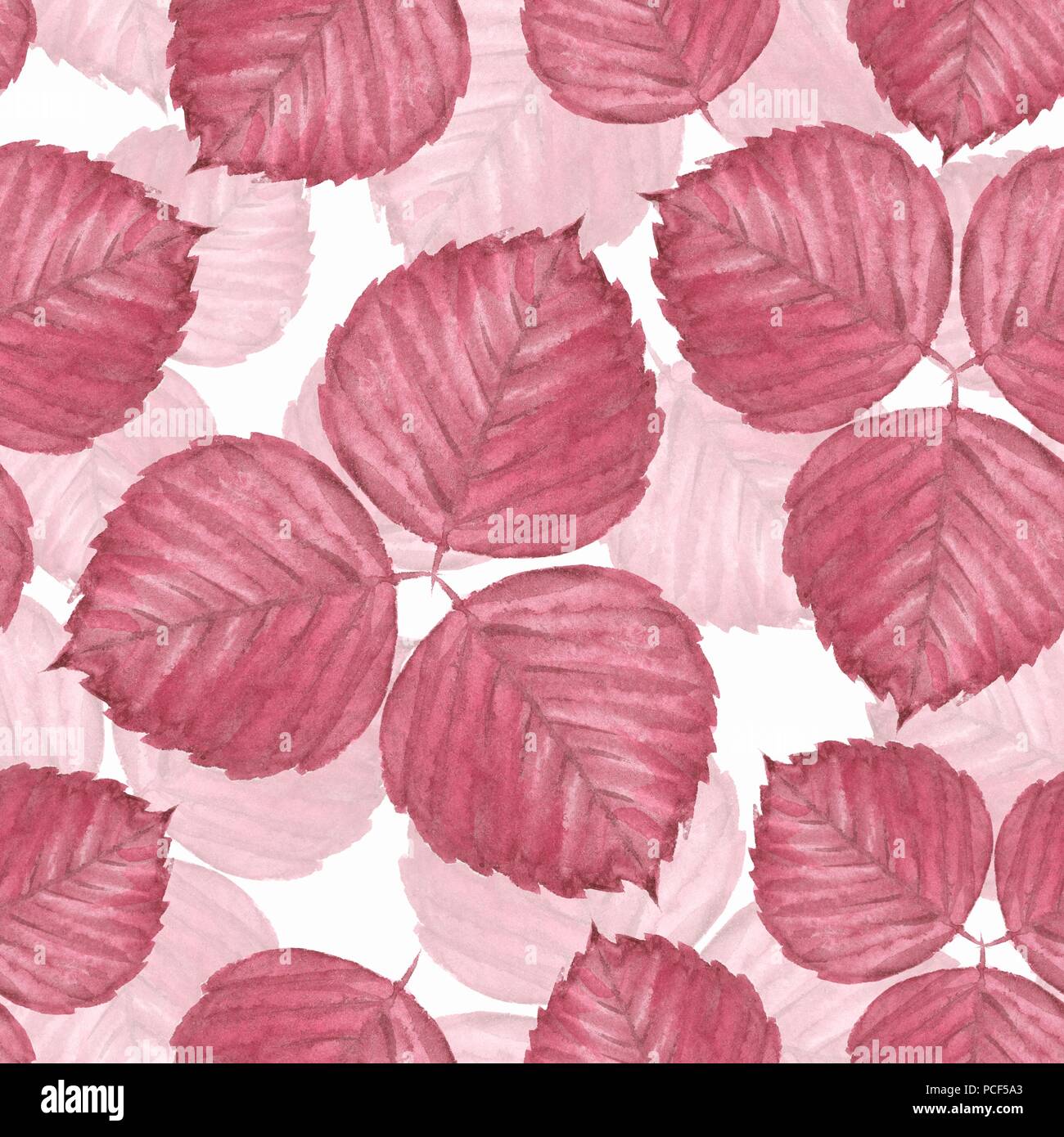 Dessin de plante Banque de photographies et d’images à haute résolution ...