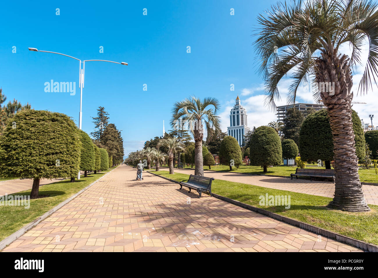 Parc avec des palmiers à la promenade de Batoumi, en Géorgie Photo ...