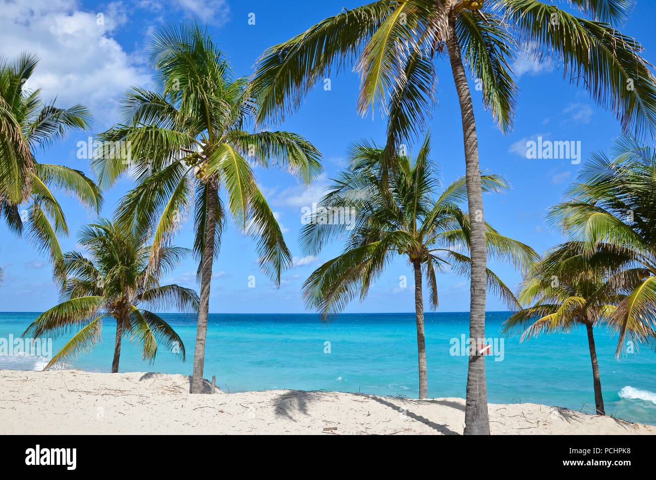 Mer turquoise cuba Banque de photographies et d’images à haute ...