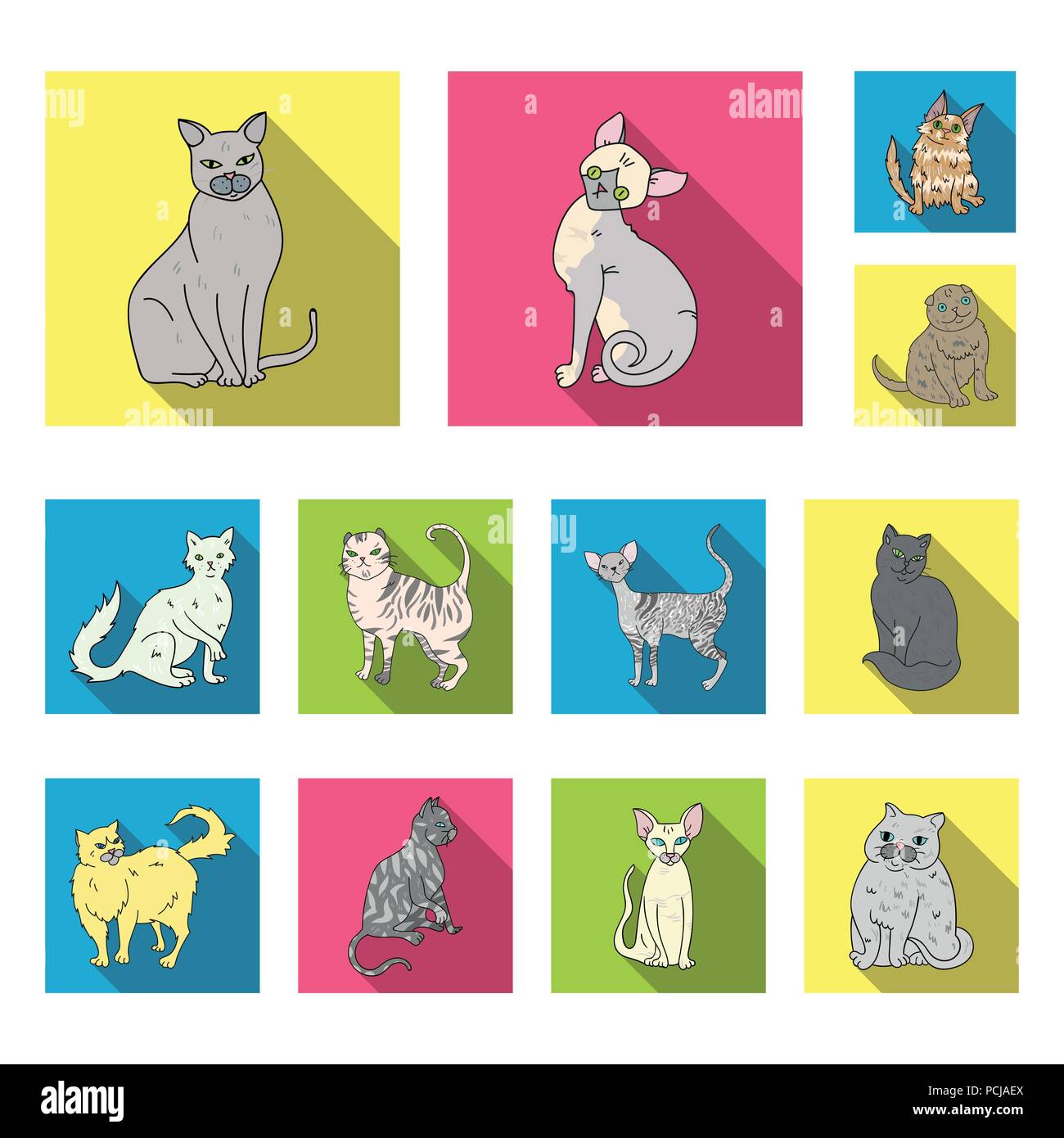 Races de chats télévision icônes de collection set pour la conception ...