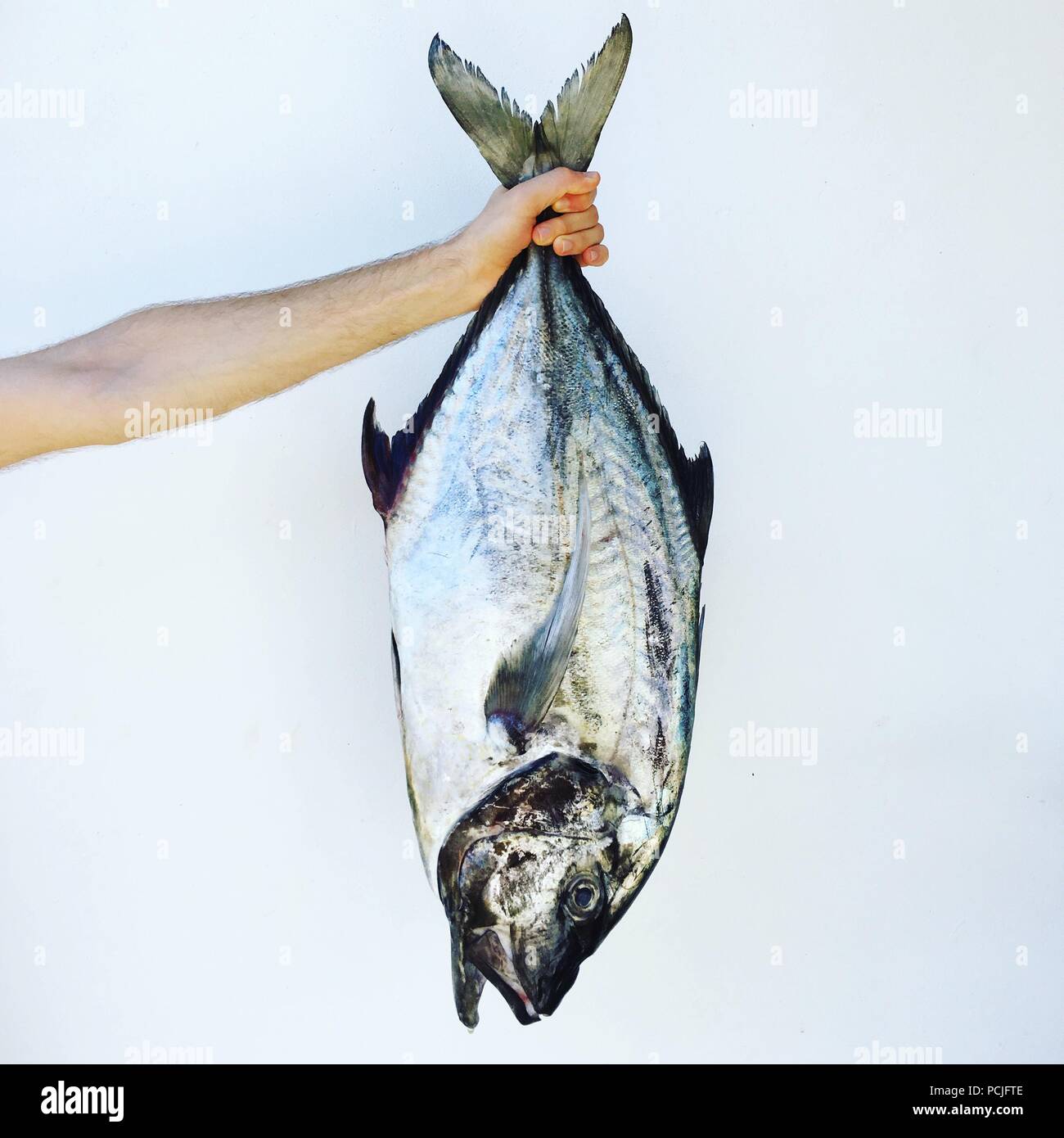 Le poisson humain Banque de photographies et d’images à haute ...