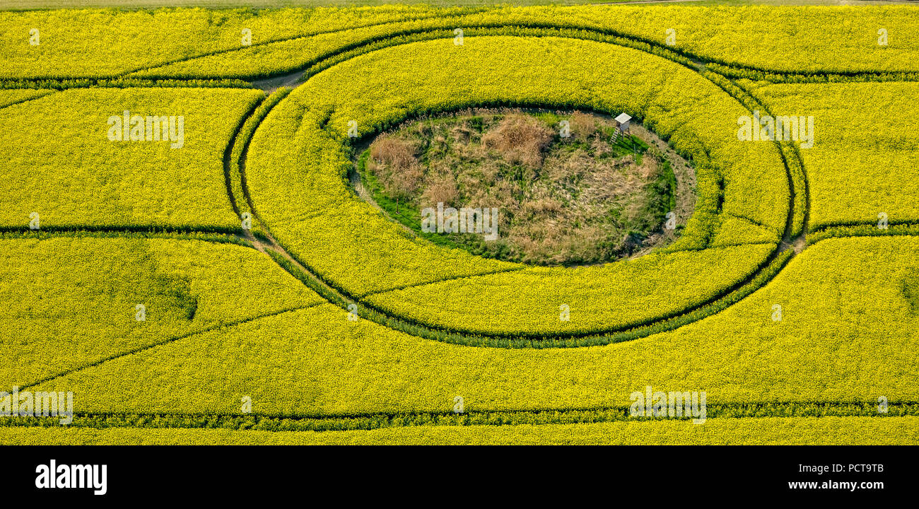 Champ colza vue aerienne Banque de photographies et d’images à haute ...
