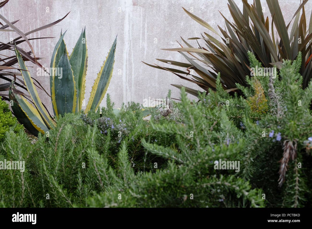 Cour avant Banque de photographies et d’images à haute résolution - Alamy