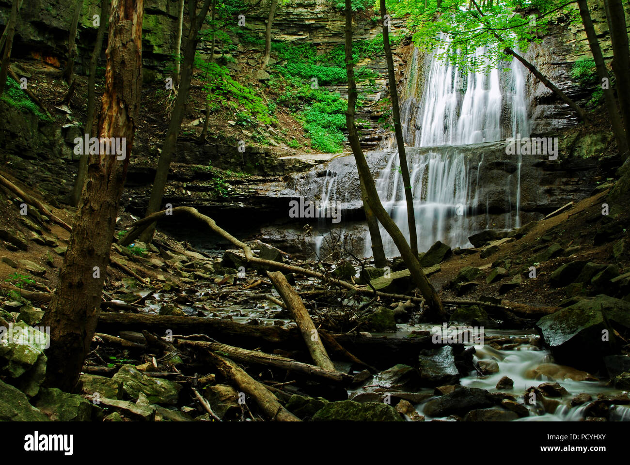 Sherman hamilton Banque de photographies et d’images à haute résolution ...
