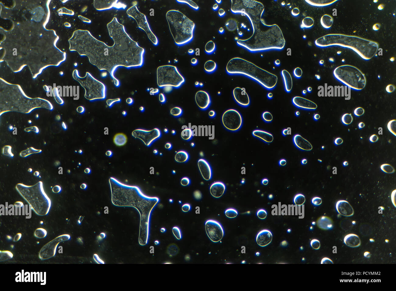 Microscope acoustique Banque de photographies et d’images à haute ...