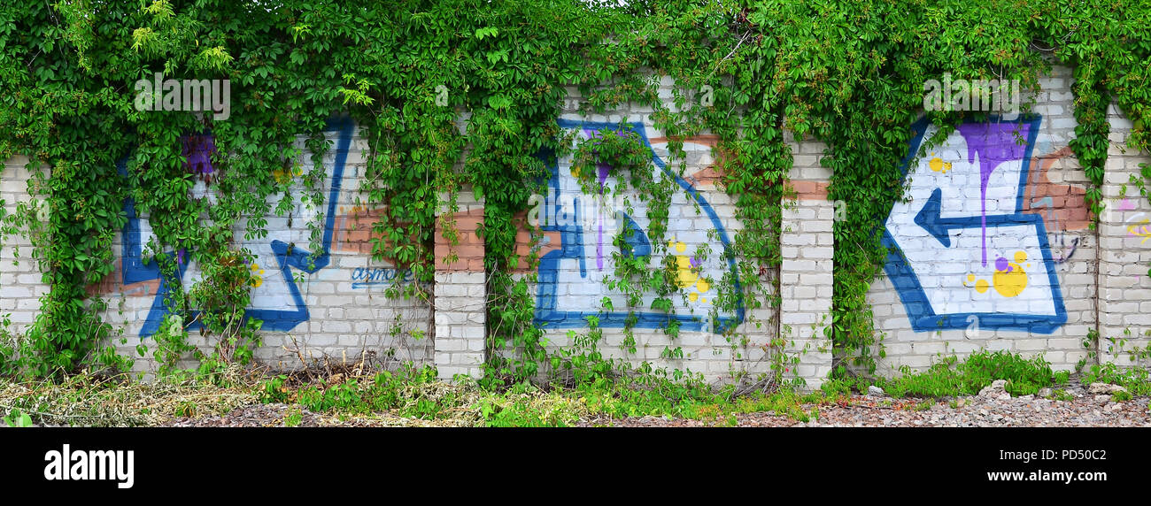 Une image détaillée d'un graffiti de couleur le dessin, qui est envahi ...