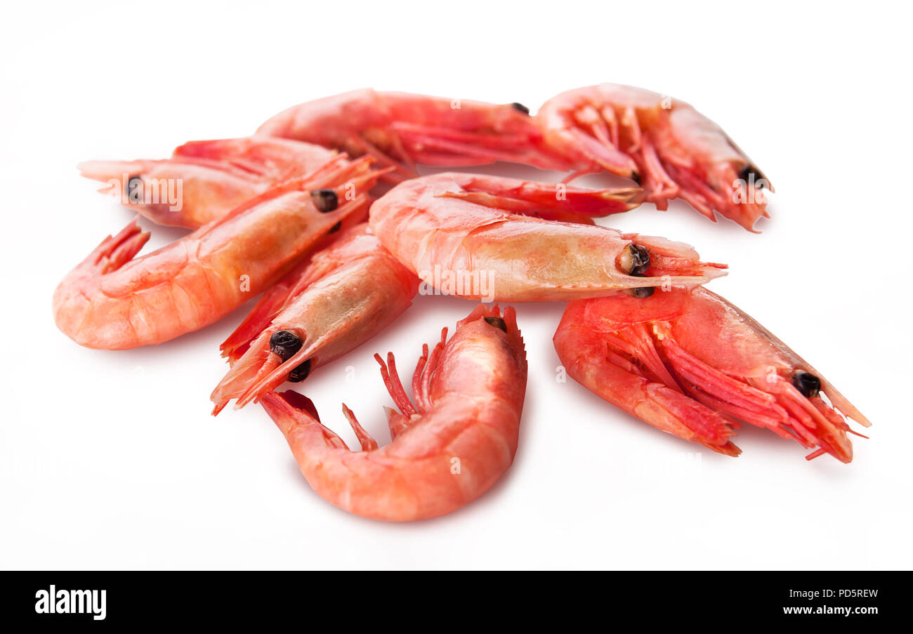 Petites crevettes Banque de photographies et d’images à haute ...