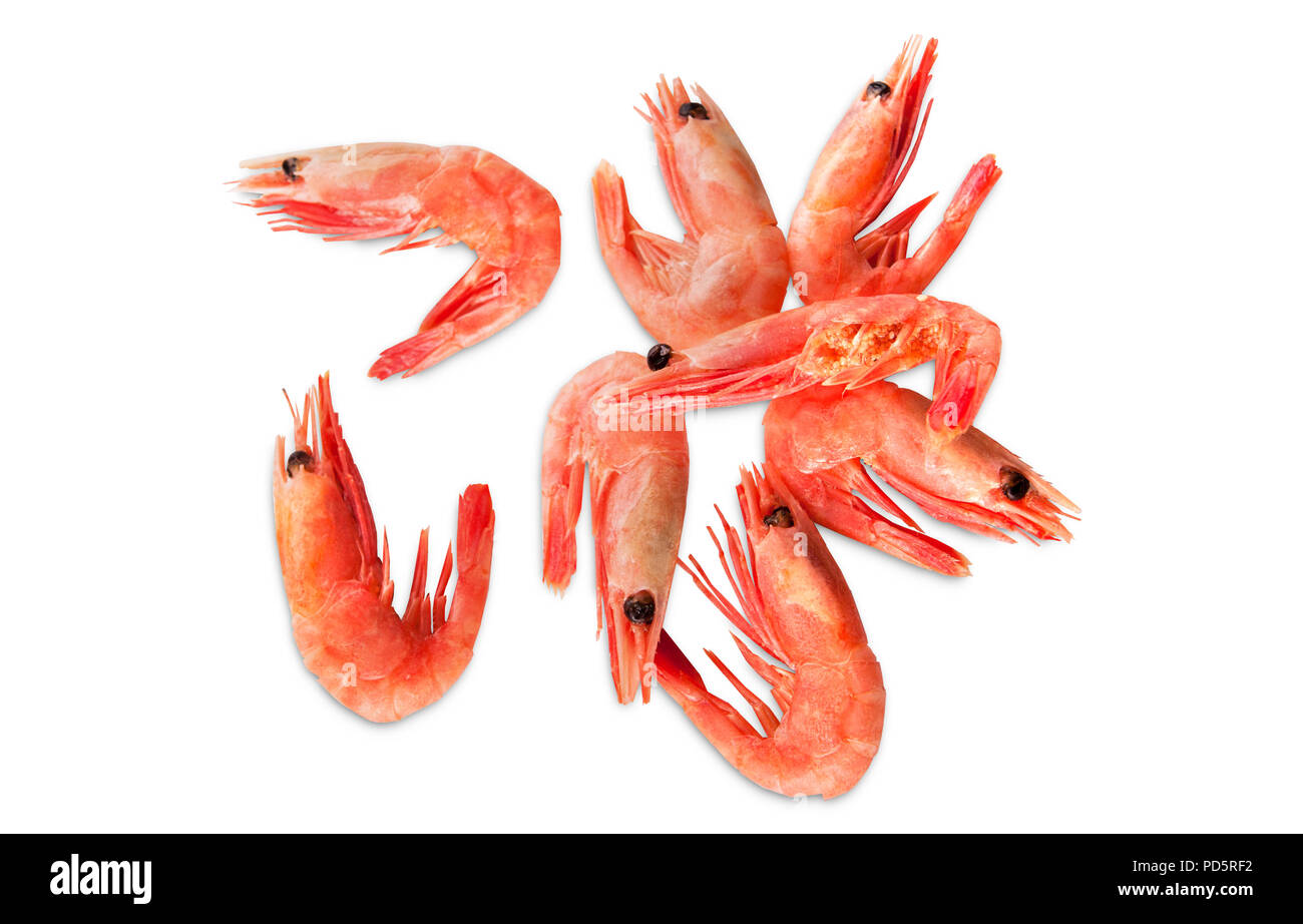 Petites crevettes Banque de photographies et d’images à haute ...