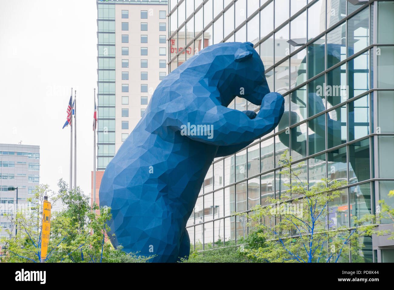 Ours bleu de denver Banque de photographies et d’images à haute ...