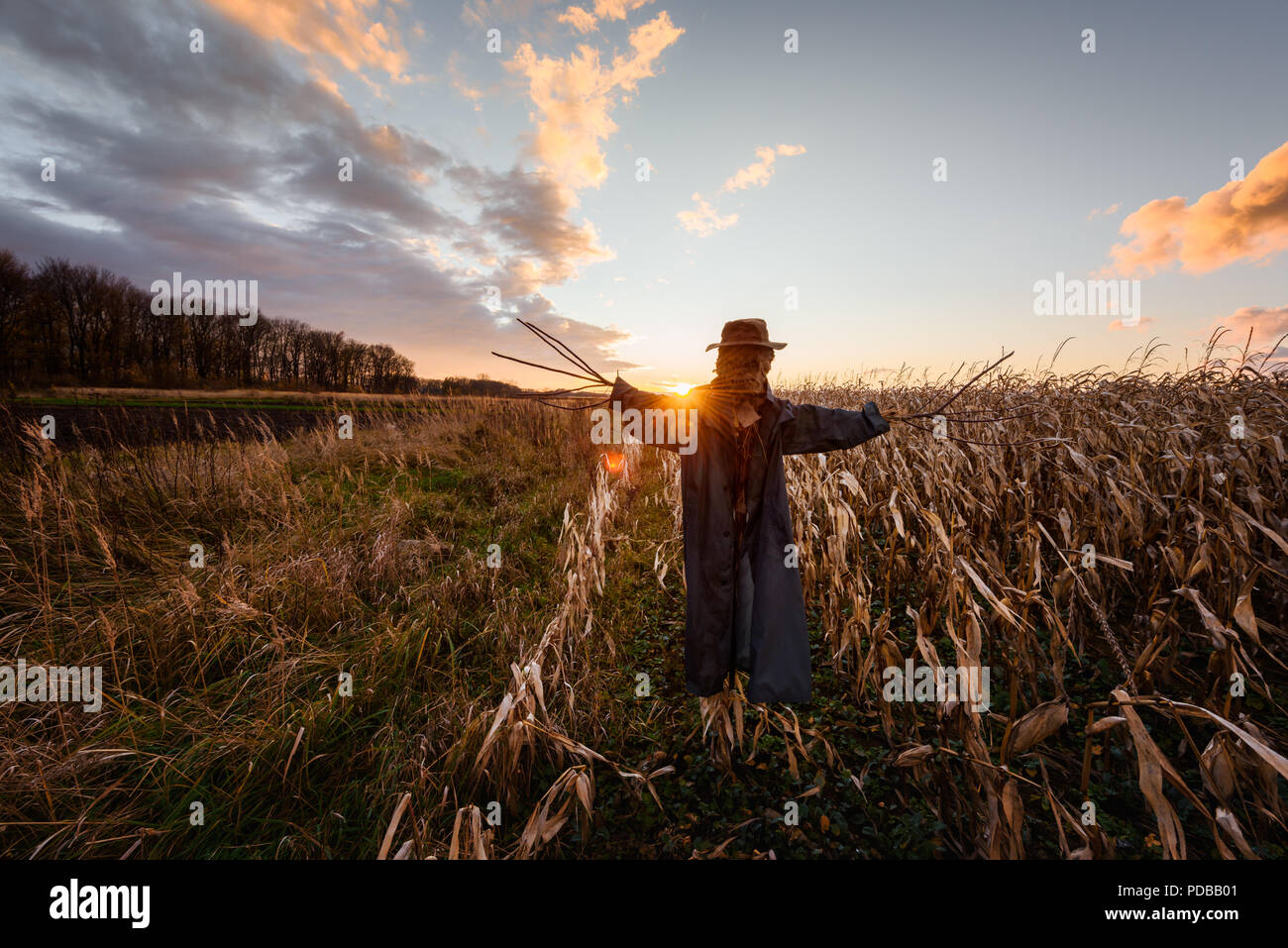 Faire peur Banque de photographies et d’images à haute résolution - Alamy