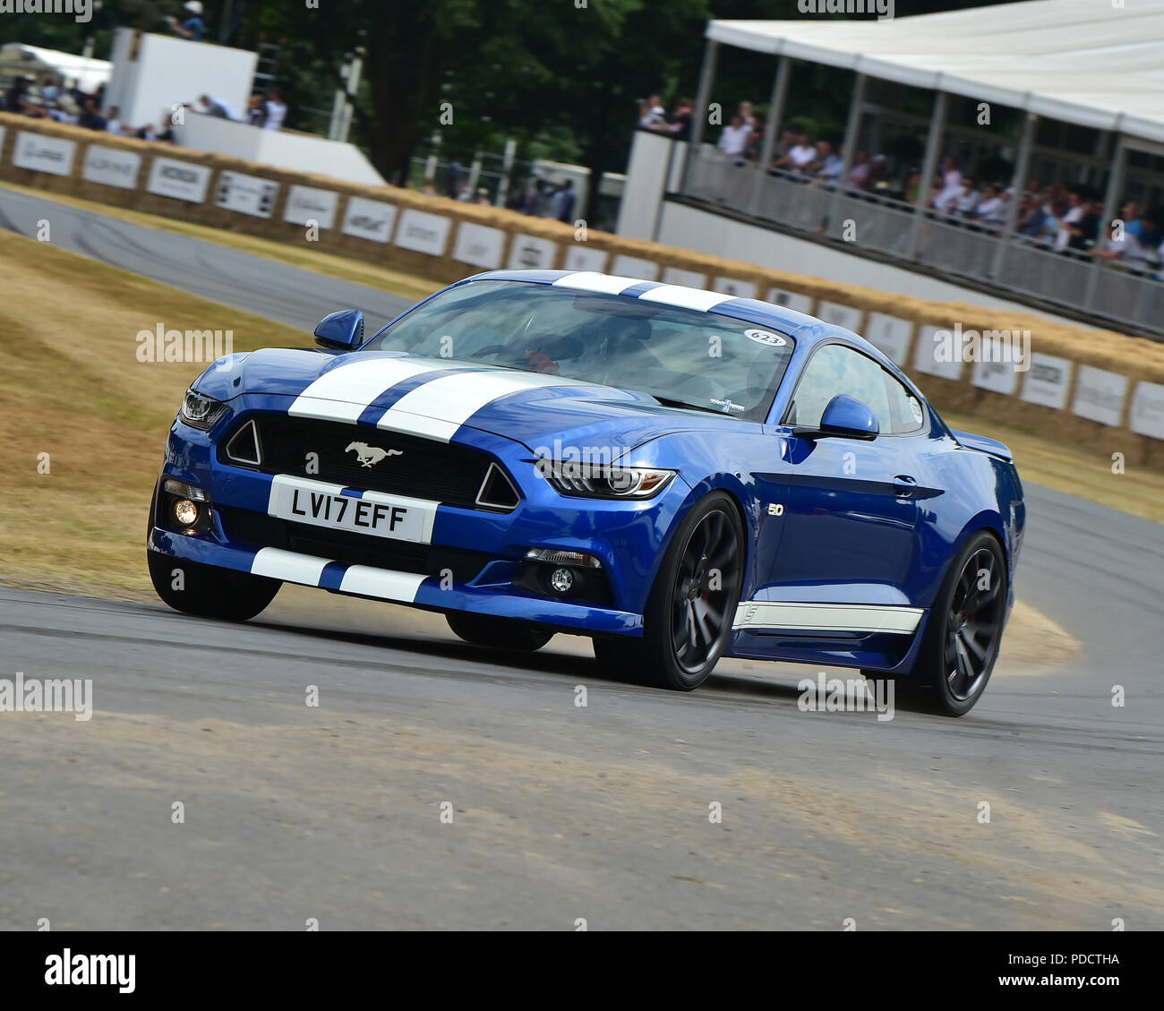 Shelby mustang super snake Banque d'image et photos - Alamy