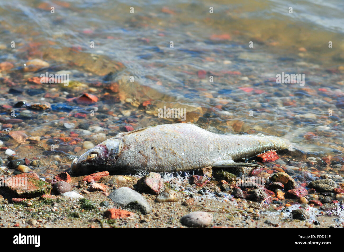 Lac toxique Banque de photographies et d’images à haute résolution - Alamy