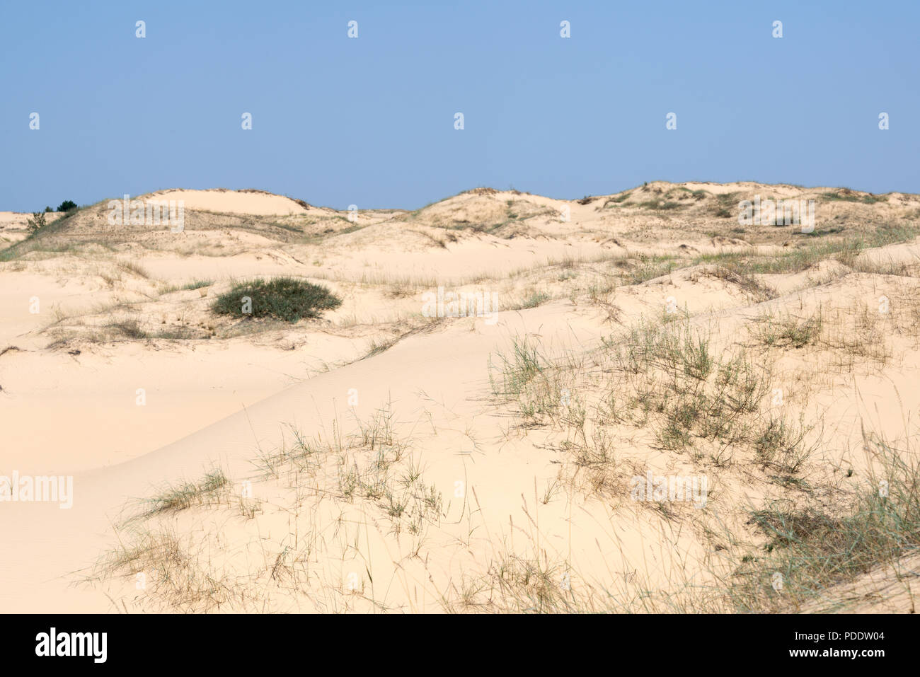 Désert oleshky Banque de photographies et d’images à haute résolution - Alamy