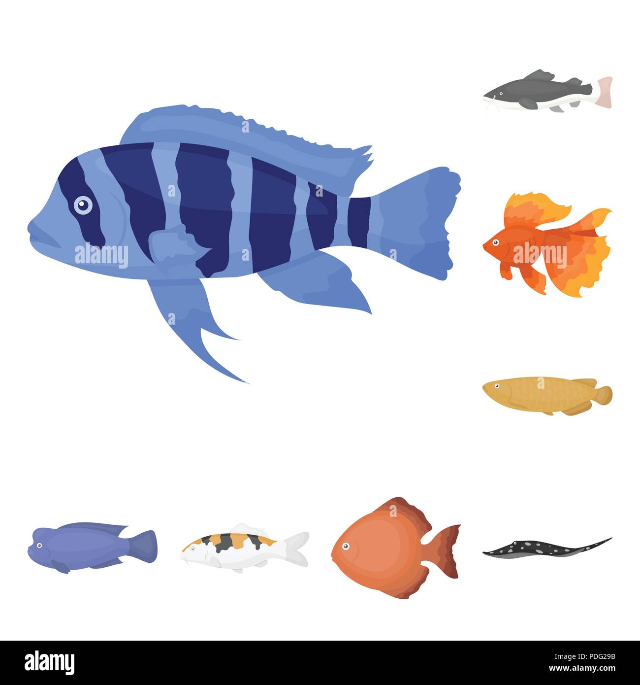 Différents types de poissons cartoon icônes de collection set pour la ...