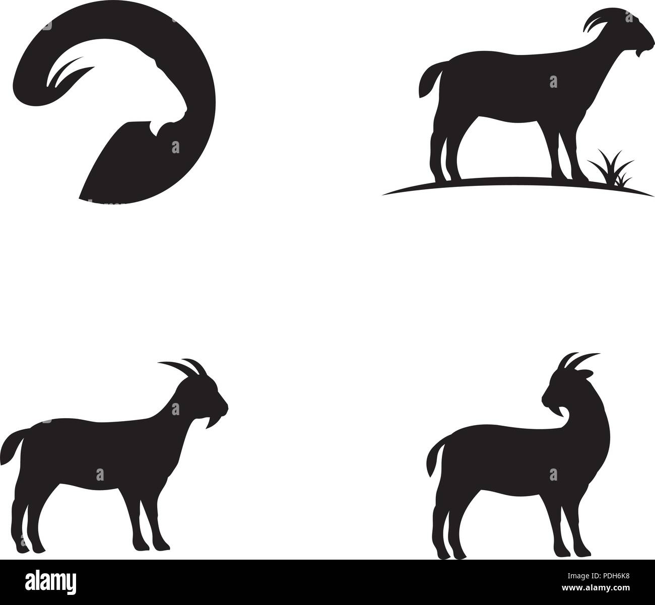 Logo vectoriel chèvre modèle icône illustration design Image ...