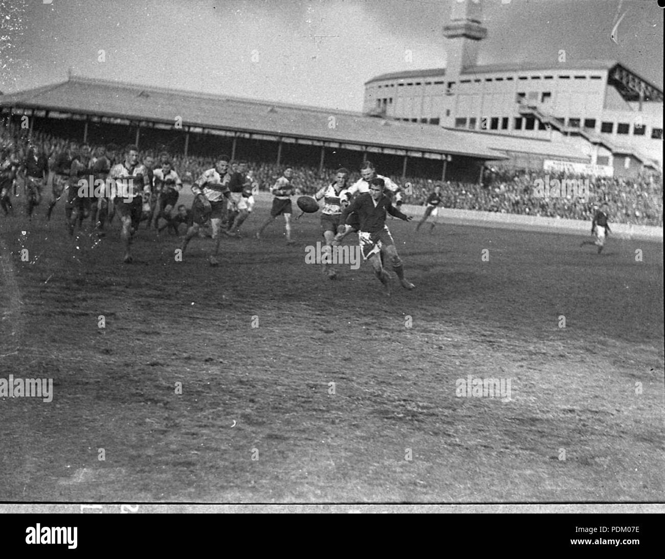 South african springboks team Banque de photographies et d’images à ...