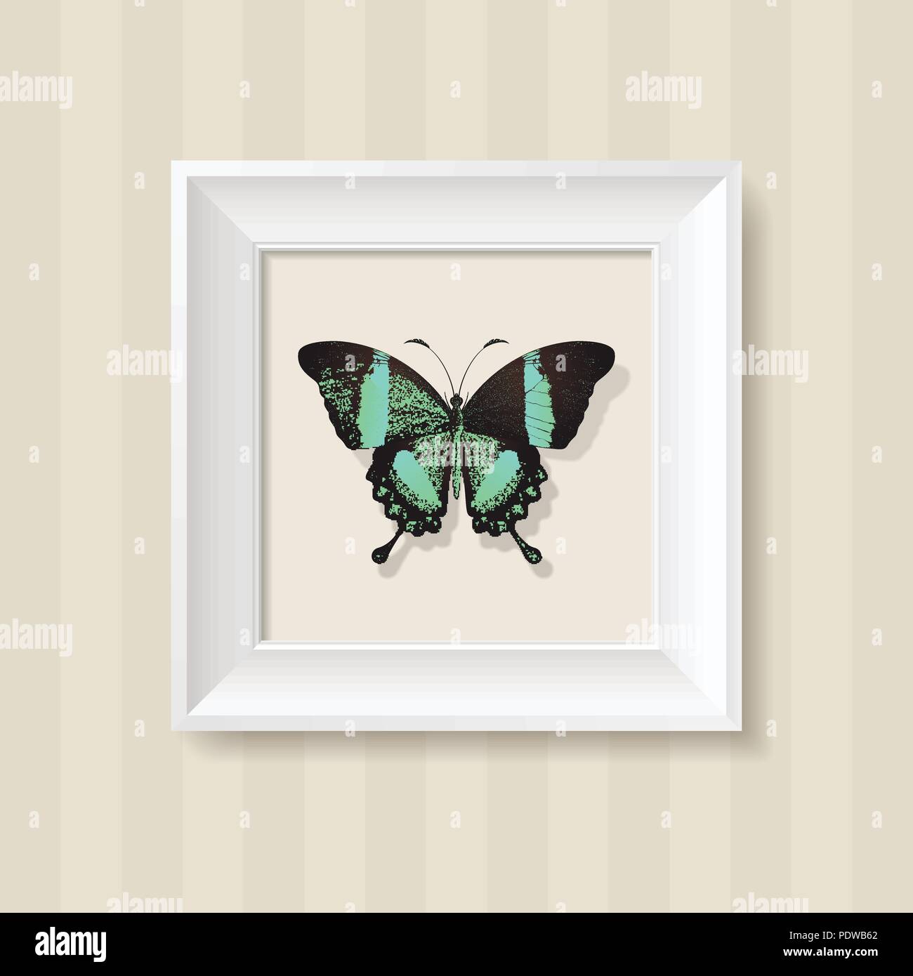 Papillon sur le mur Banque d'images vectorielles - Alamy