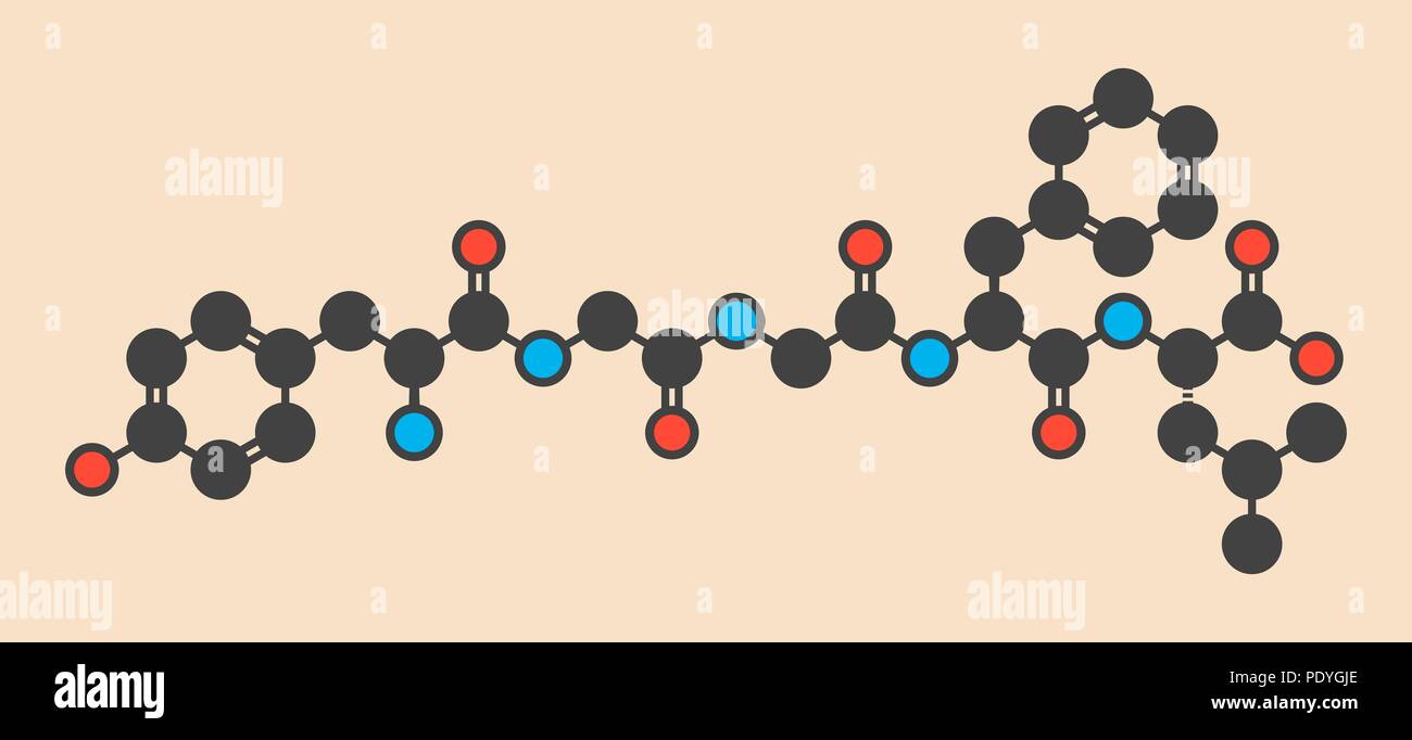 Leu-enképhaline peptide opioïde endogène molécule. Formule topologique ...