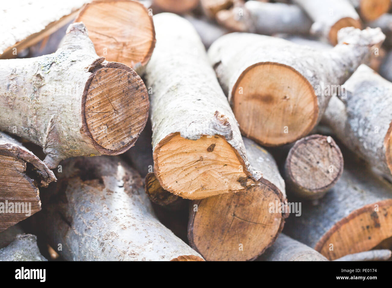 Fond de bois haché sec dans une pile Photo Stock - Alamy