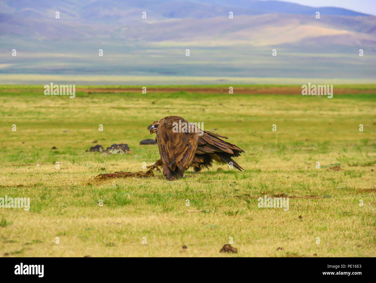 Désert de Gobi, la Mongolie - L'un des plus grands déserts du monde, le ...