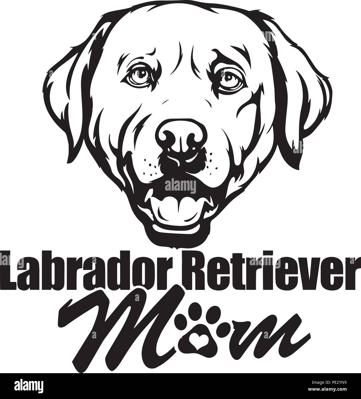 Tete labrador dessin Banque d'images vectorielles - Page 2 - Alamy