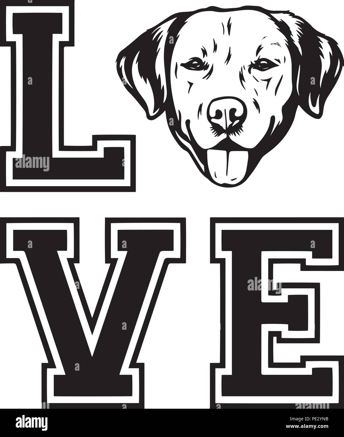 Tete labrador dessin Banque d'images vectorielles - Alamy