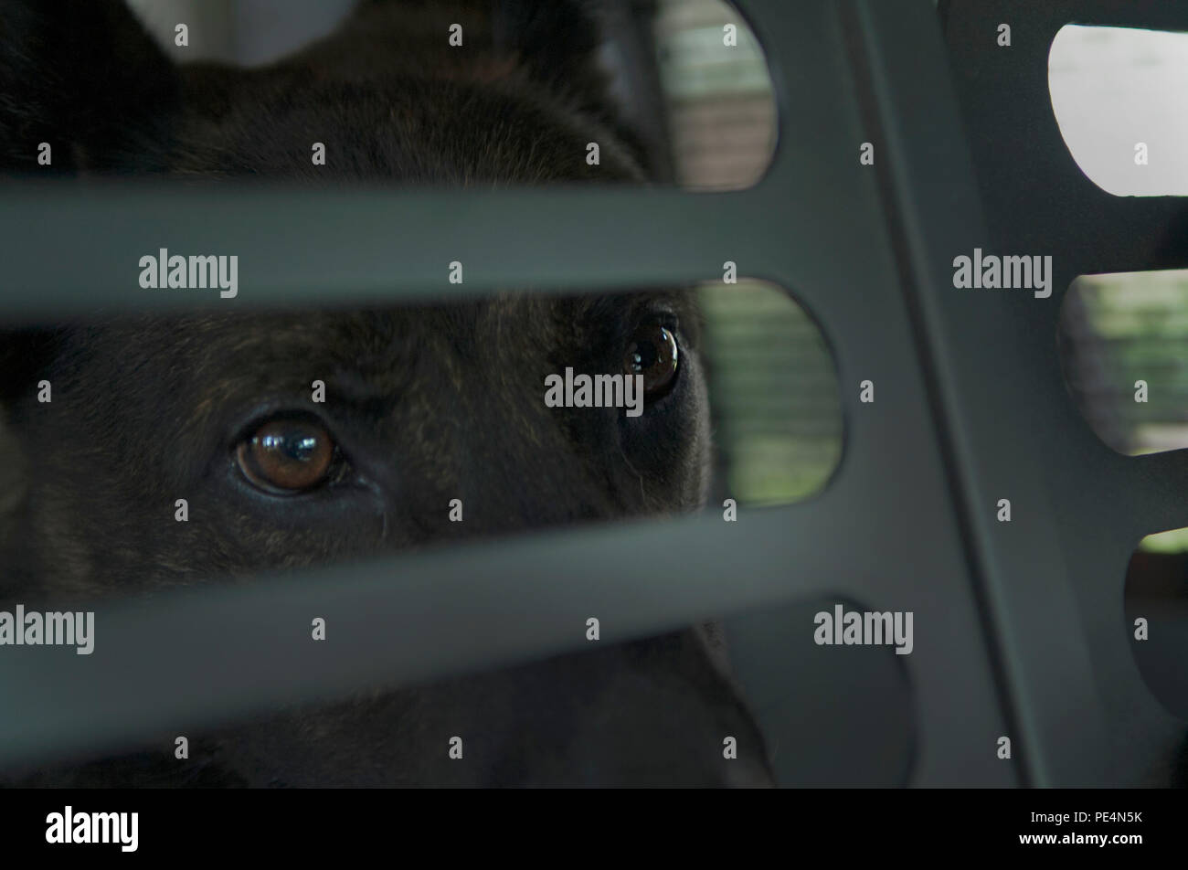 Aviateur senior austin craven Banque de photographies et d’images à ...