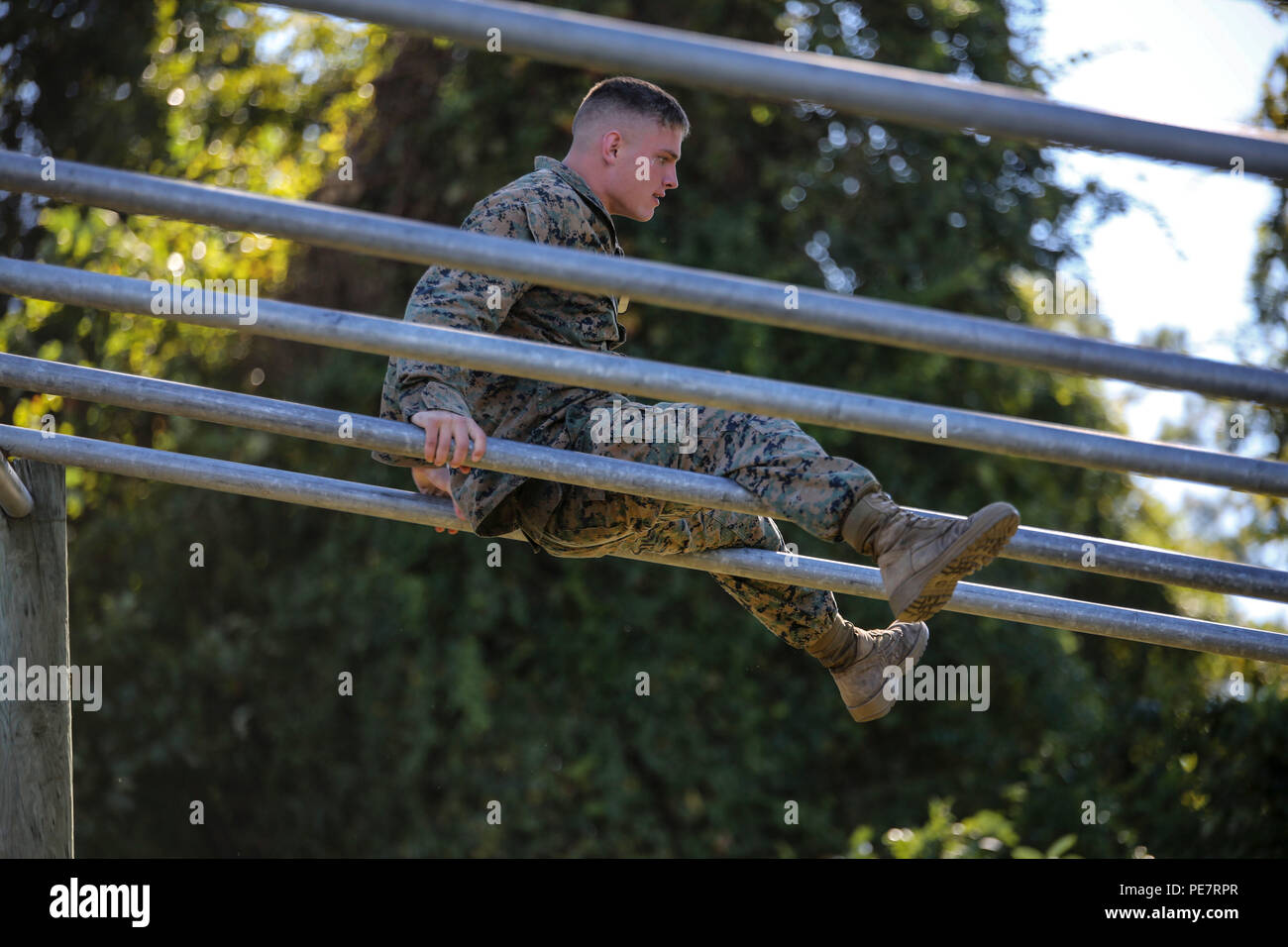 Scout sniper physical assessment test Banque de photographies et d ...