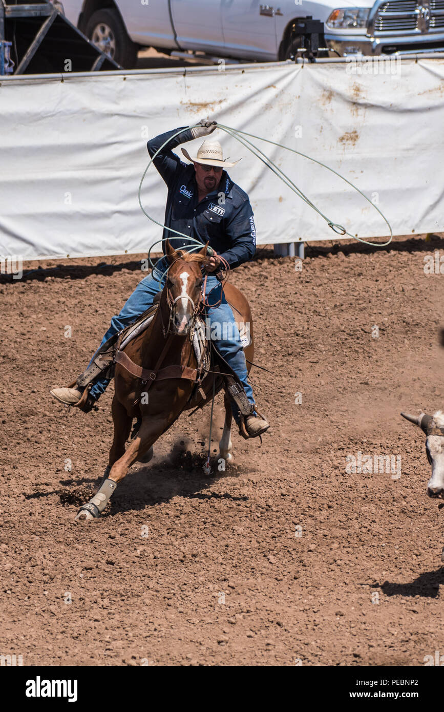 Cowboy swings lasso Banque de photographies et d’images à haute ...
