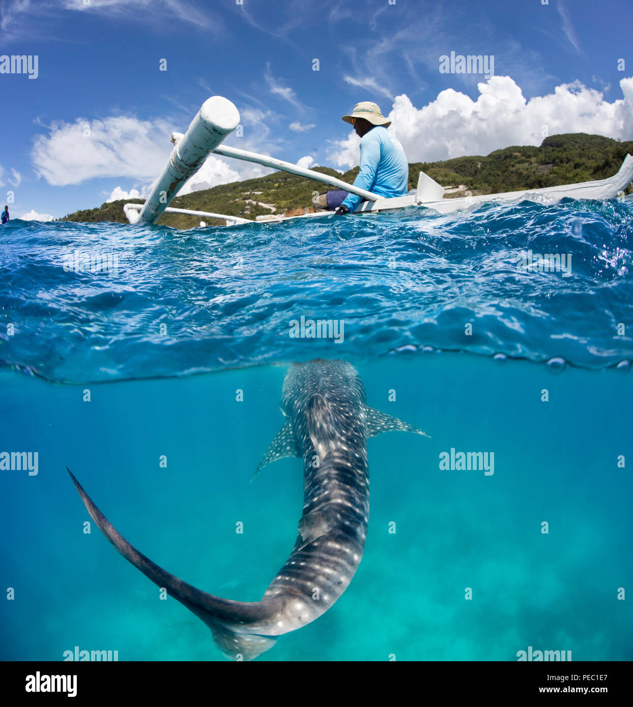 Hungry shark world Banque de photographies et d’images à haute ...