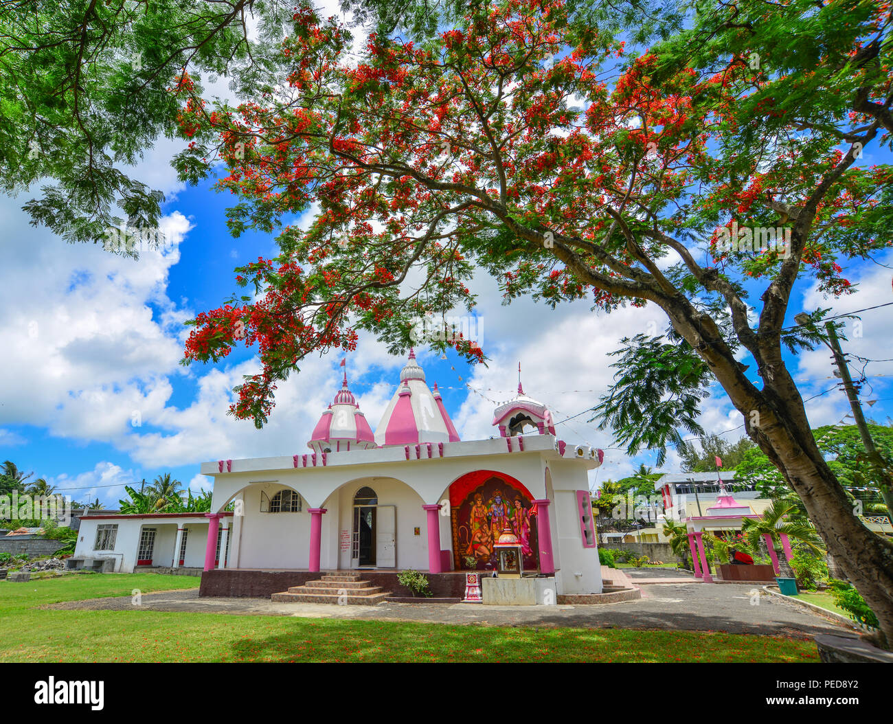 Port Louis, Maurice - Jan 10, 2017. Un temple hindou avec arbre ...