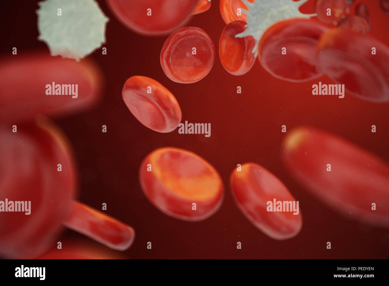 Les globules rouges et blancs, les neutrophiles libérant les ...