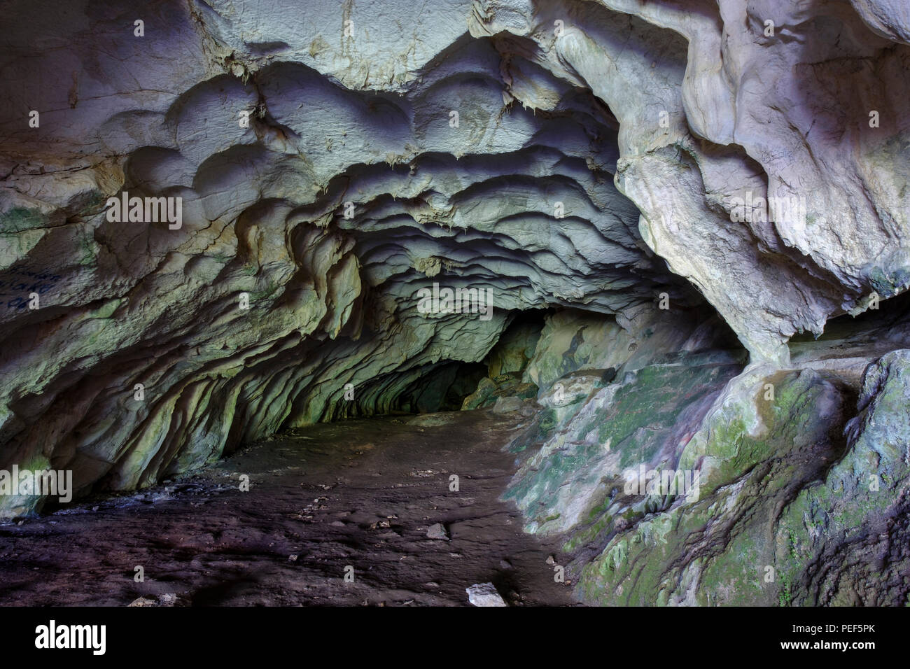 Grotte calcaire, grotte de Pellumbas, Pëllumbas, Qark Tirana, Albanie ...