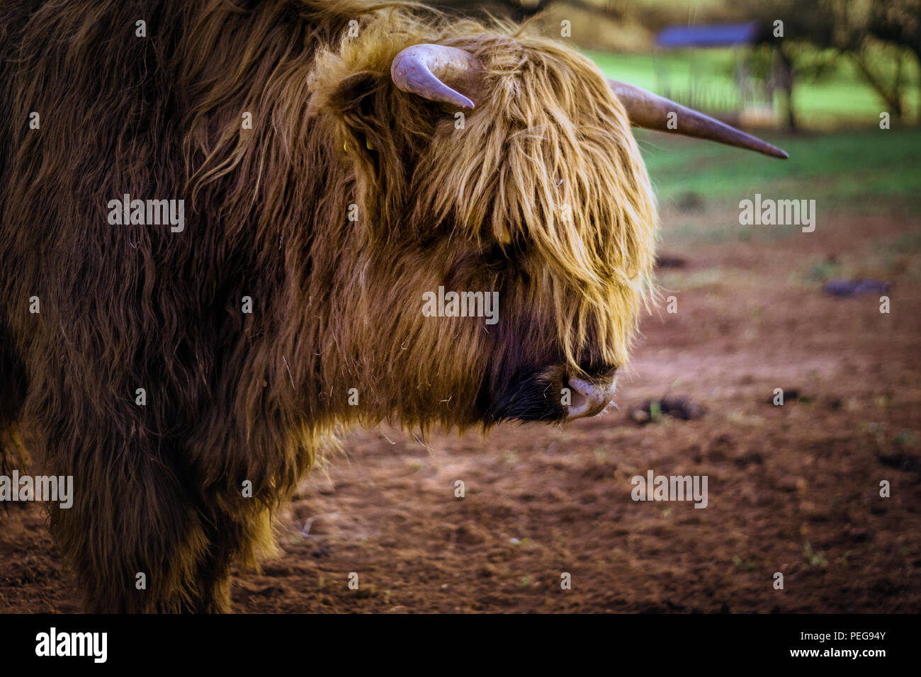 Natur zaun Banque de photographies et d’images à haute résolution - Alamy