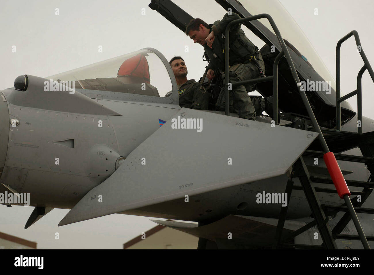 Le colonel de l'US Air Force, le Pete Fesler commandant de la 1re ...