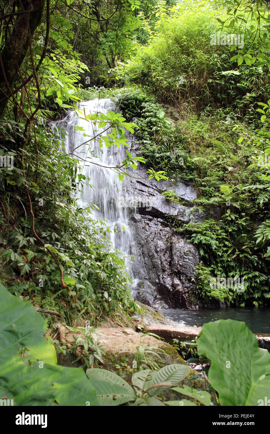 Ng Tung Chai des cascades, l'eau qui coule d'une montagne, fraîcheur ...