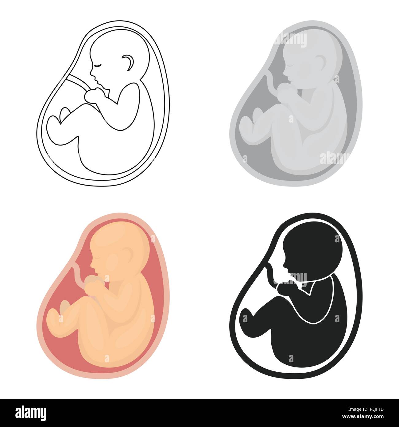 L'icône de foetus dans cartoon style isolé sur fond blanc. Vector ...